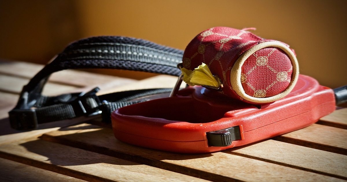 Où acheter les accessoires et produits pour ses animaux